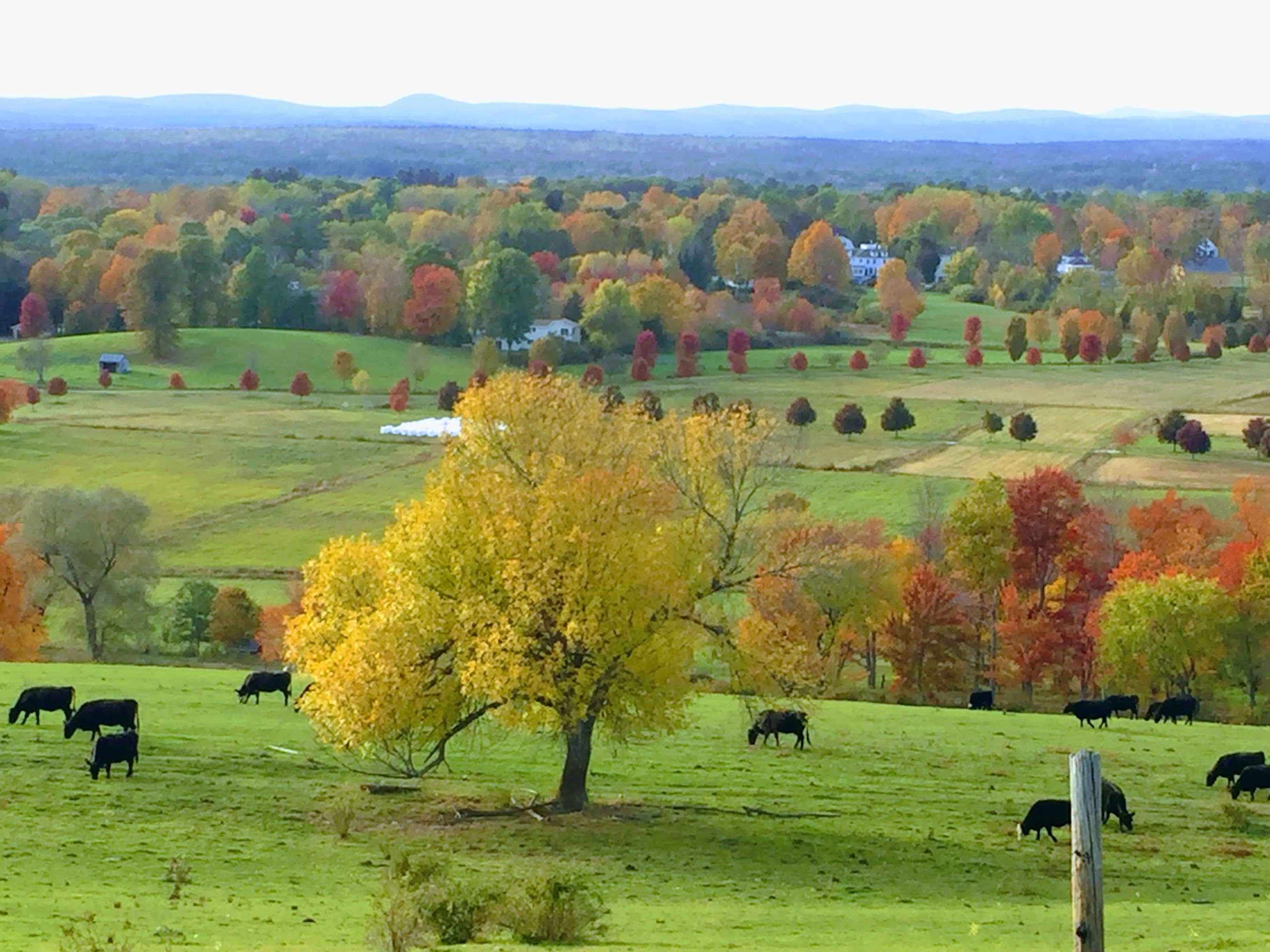 Elemental Energies – Unlock your personal energy with Nine Star Ki